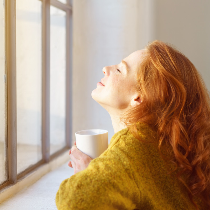 It looks nice out. - Phrasebook - Learn English with lingoneo